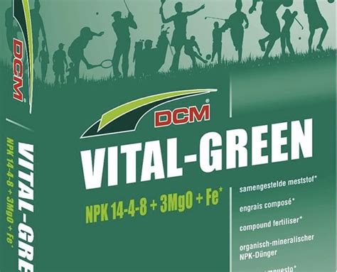 Een Groene Grasmat In De Zomer
