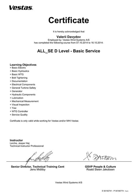 D Level Course Certificate PDF