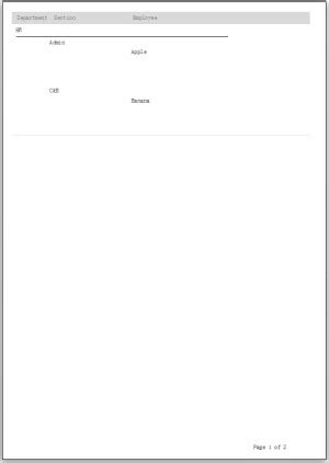 Access Report Reset Total Page Number Insert Blank Page