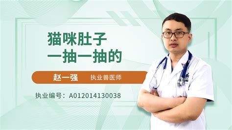 猫肚子一抽一抽的要反胃吐 蘑菇宠医
