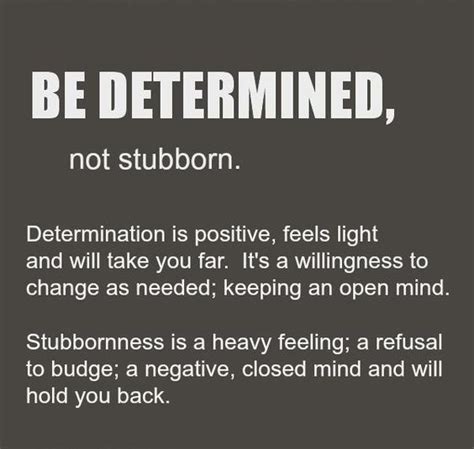 65 Quotes About Being Stubborn Stubbornness Sayings And Images