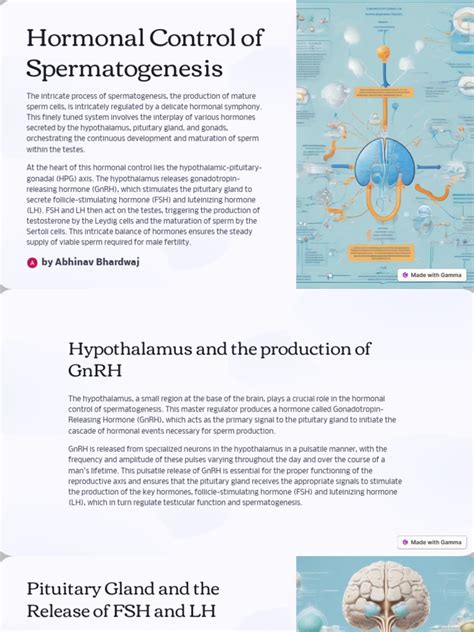 Hormonal Control Of Spermatogenesis Download Free Pdf Luteinizing Hormone Testicle