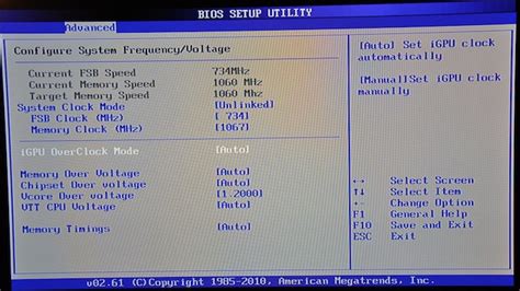 Intel Atom N450 Overclock Tool