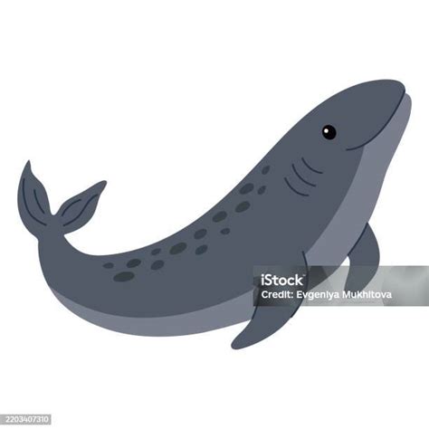 큰 바다 물고기 고래 상어는 흰색에 고립되어 있습니다 고래 상어 야생 해상 물고기 수중 세계 바다 수중 거주자 게에 대한 스톡 벡터 아트 및 기타 이미지 Istock