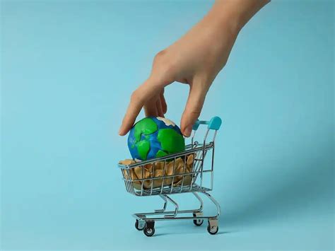 Sustainability In E Commerce