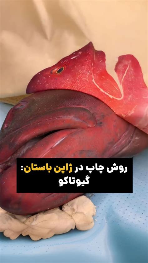 ‎universe Mag جهـان هستی‎ ‎اسپر‌م‌ها چگونه برای شرکت در مسابقه بزرگ