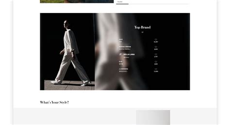 商城网站制作开发案例欣赏 北京天晴创艺网站建设网页设计公司