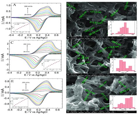 Cv A C E In Acetate Buffer 0 1 Mol·l −1 Ph 4 75 At Different Scan