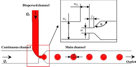 The Sketch View Of T Junction With A Constriction Microfluidic Device