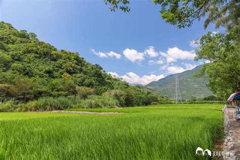 台東鹿野景點懶人包一日遊行程飛行傘遊鹿野高台採茶體驗城鄉島遊 城鄉島遊