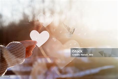 발렌타인 데이에 희망을 담아 사랑의 메시지를 보내는 컨셉 희망에 대한 스톡 사진 및 기타 이미지 희망 배경 주제 하트