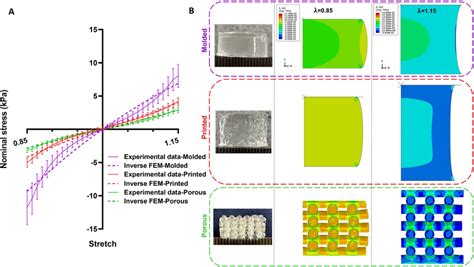 Comparison Of Experimental Data And Finite Element Model Predictions