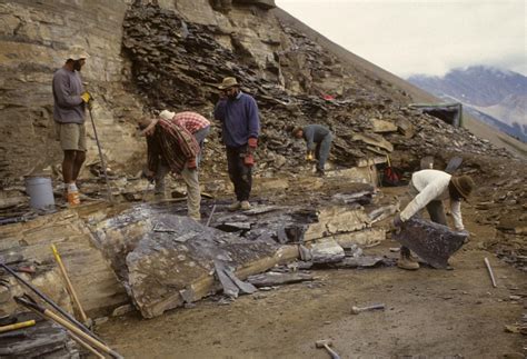 Ancient Worm Like Species Discovered In Burgess Shale Canadian Geographic
