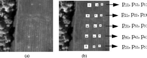 Spatial Locations Of Ground Truth Endmembers And N Findr Extracted Download Scientific Diagram