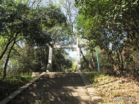 靈秀湖北武漢市龜山公園 每日頭條