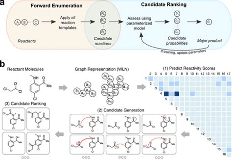 10 Orbital Diagram Ar Arfaanmahrianne