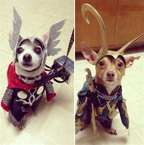 Thor And Loki Scrolller