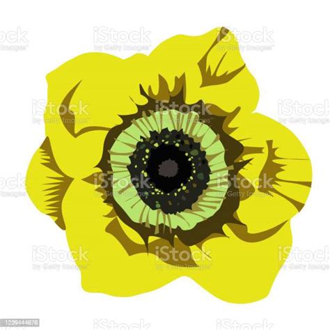 Gambar Bunga Poppy Ilustrasi Stok Unduh Gambar Sekarang Alam Bleeding Heart Flower Blue