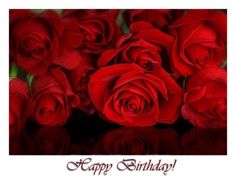 Red Roses Happy Birthday Wallpaper Gallery Yopriceville High
