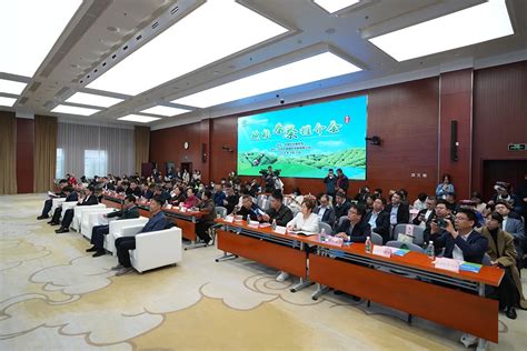 国家地理标志农产品展示体验馆地标春茶专场推介活动成功举办 湖南绿色食品网