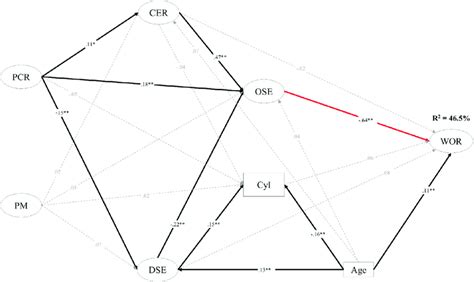 Results Of The Multiple Group Structural Equation Modeling Female