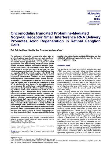 Oncomodulintruncated Protamine Mediated Nogo 66 Receptor Small