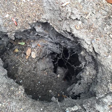 This Opened Up Here In Florida Sinkhole Wonderland Or Volcano