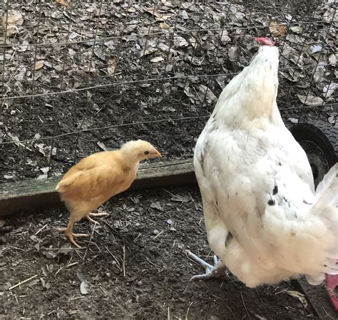 Bless Our Hearts The Keyboard Is An Amazing Invention