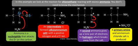 Chapter 27 Amines Amino Acids And Polymers Flashcards Quizlet