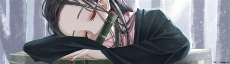 Nezuko Sleeps In A Basket Hd Wallpaper Download