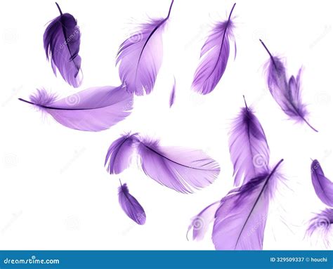 A Falling Bird Cage And A Bird Flying Out Of It Illuminated By Sunlight Vector Illustration