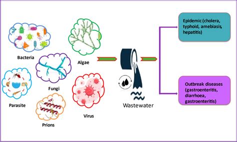 Graphical Illustration Of Causes Of Waterborne Diseases Download