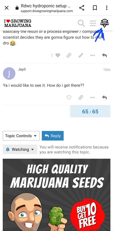 Rdwc Hydroponic Setup With Water Chiller Page 4 Grow Room Ilgm Growers Forum Free