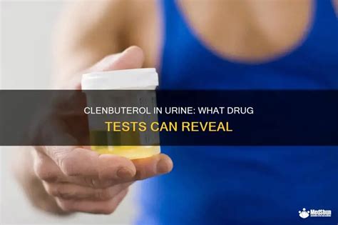 Clenbuterol In Urine What Drug Tests Can Reveal Medshun