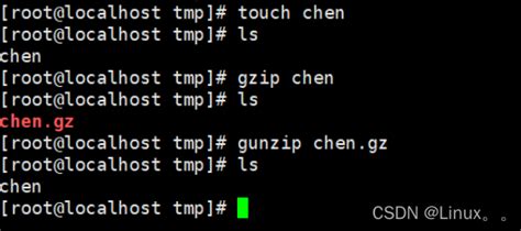 压缩解压命令（gzip、gunzip Tar Zip、unzip Bzip2、bunzip2） Csdn博客