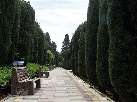 Tehran Parks