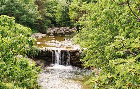 Photo à Rosis 34610 Rosis 342018