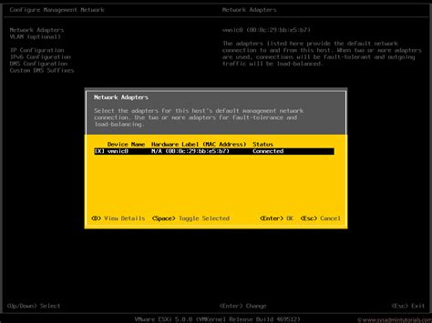 VMware ESXi Configuration Tech Stuff