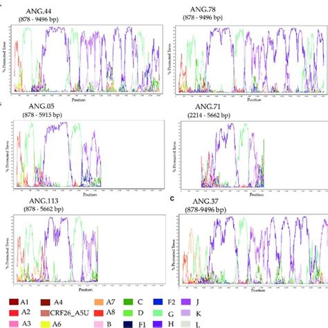 Investigation Of Human Immunodeficiency Virus Hiv Genome