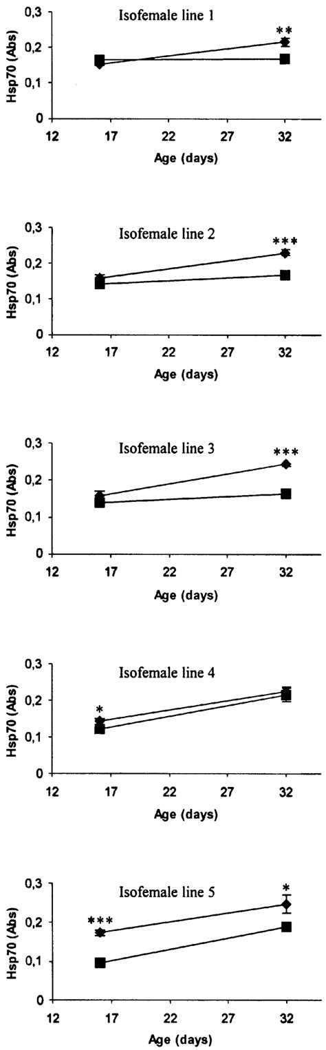 Mean Absorbance SE For Female Flies Exposed To 37C For One Hour At