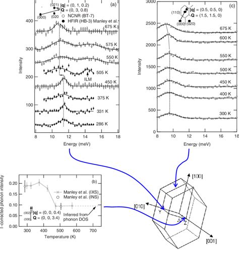 Color Online Temperature Evolution Of The Lattice Modes Of U Measured