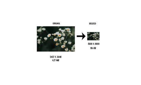 Image Resizing And Cropping By Razablogpost512 Fiverr