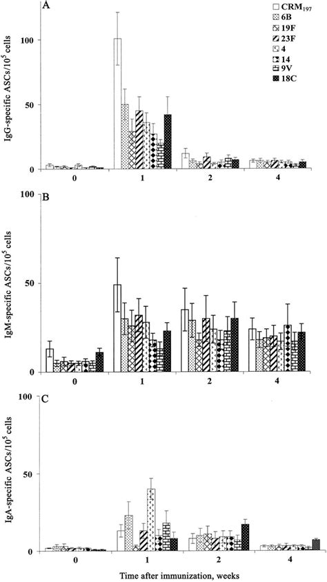 Igg A Igm B And Iga C Polysaccharide Specific Antibody Secreting Download Scientific