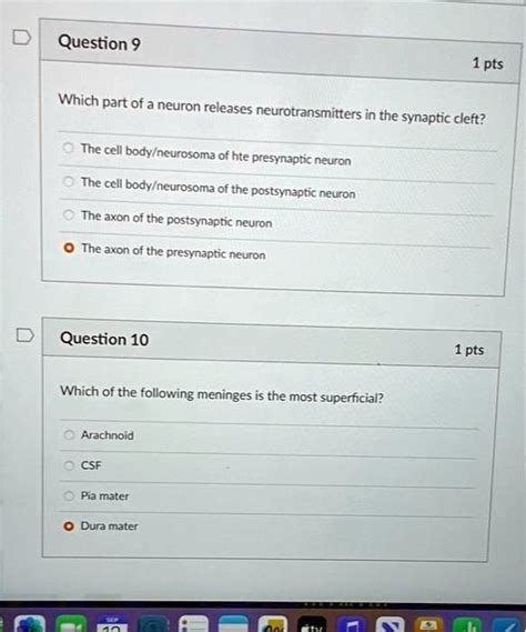 solved question 9 which part of a neuron releases neurotransmitters in