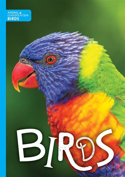Birds Animal Classification Booklife Publishing