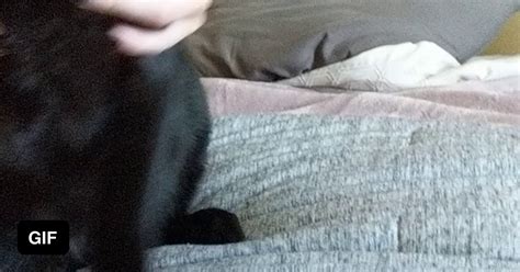 Jetson Exe Has Stopped Working GAG