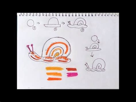 How To Draw A Snail Step By Step