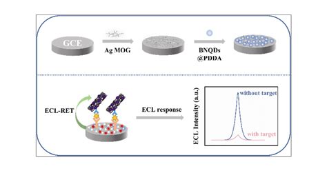Combination Of Ternary Electrochemiluminescence System Of Bnqdsagmog K2s2o8 And