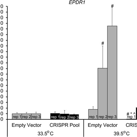 Rt‐qpcr Of Clustered Regularly Interspaced Short‐palindromic Repeat Download Scientific Diagram