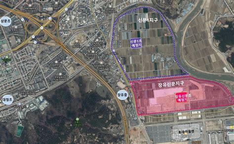 김해 장유신문초 2025년 9월 개교42학급·학생 1천99명 규모 나무뉴스
